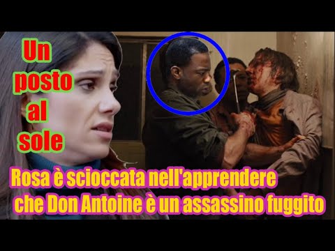 Un posto al sole : Rosa è scioccata nell’apprendere che Don Antoine è ...